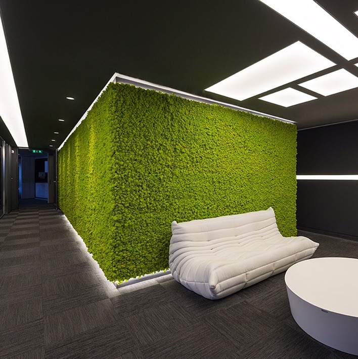 Moss Wall Tile 30x30, Reindeer moss wall, Easy installation | color ...